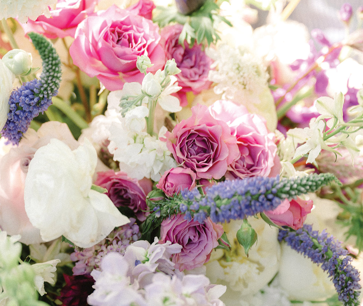 Gallery– Debi Lilly