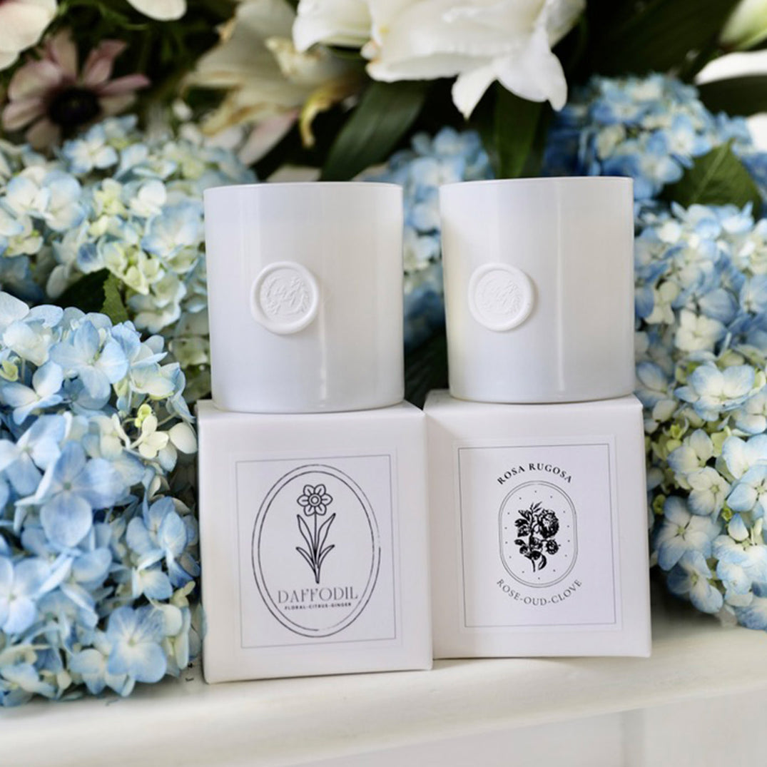 Nantucket Collection– Debi Lilly