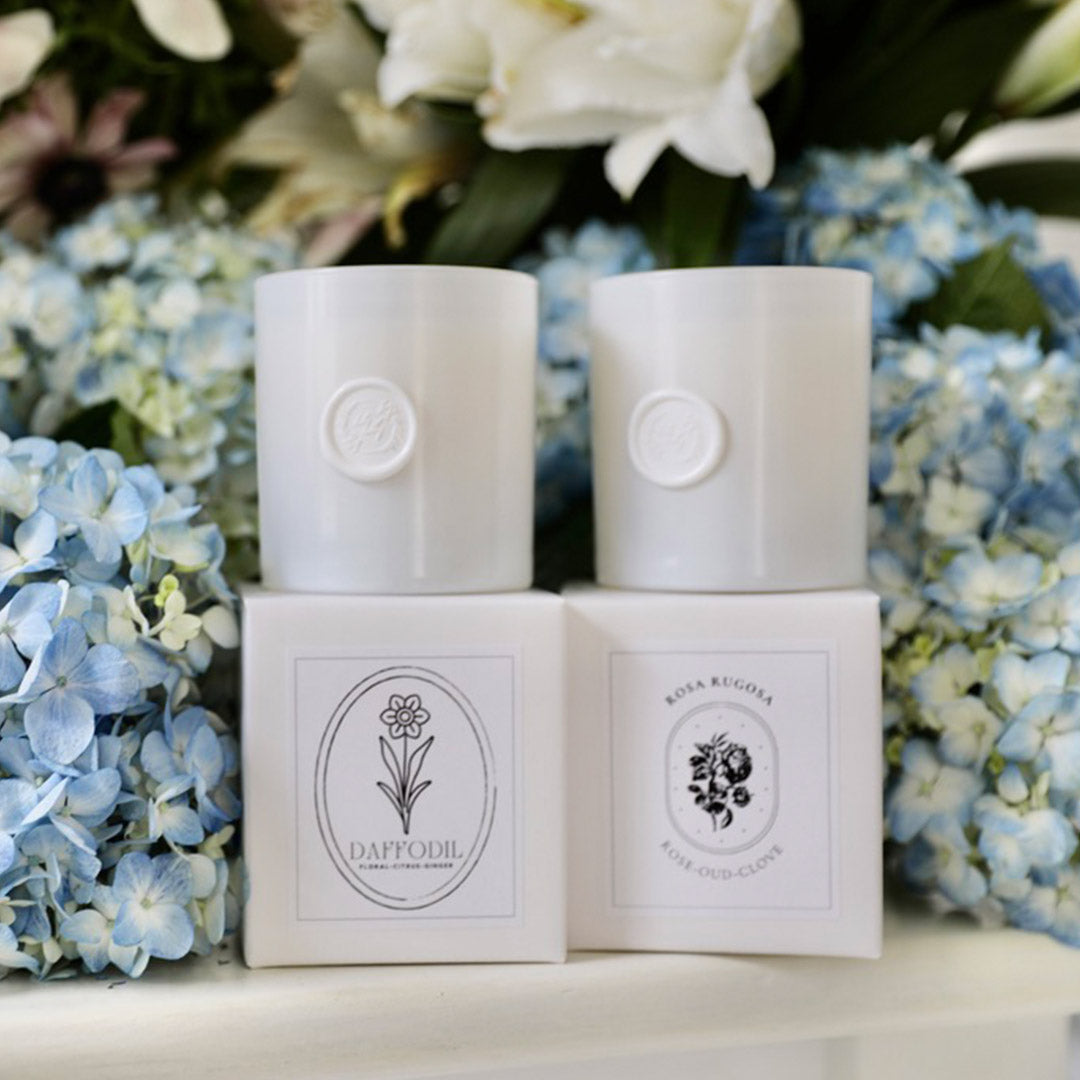 Nantucket Collection– Debi Lilly