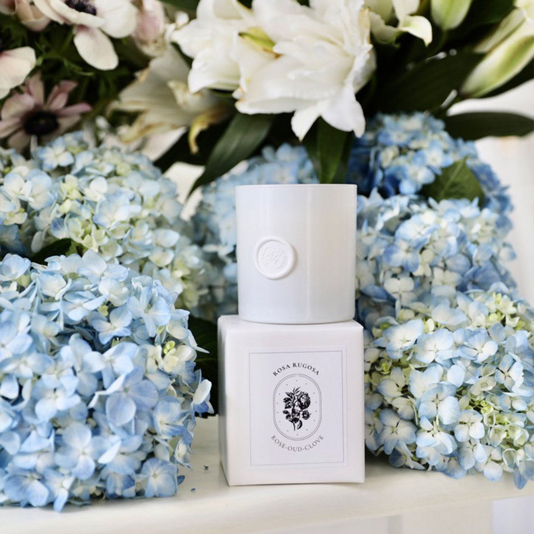 Rosa Rugosa– Debi Lilly