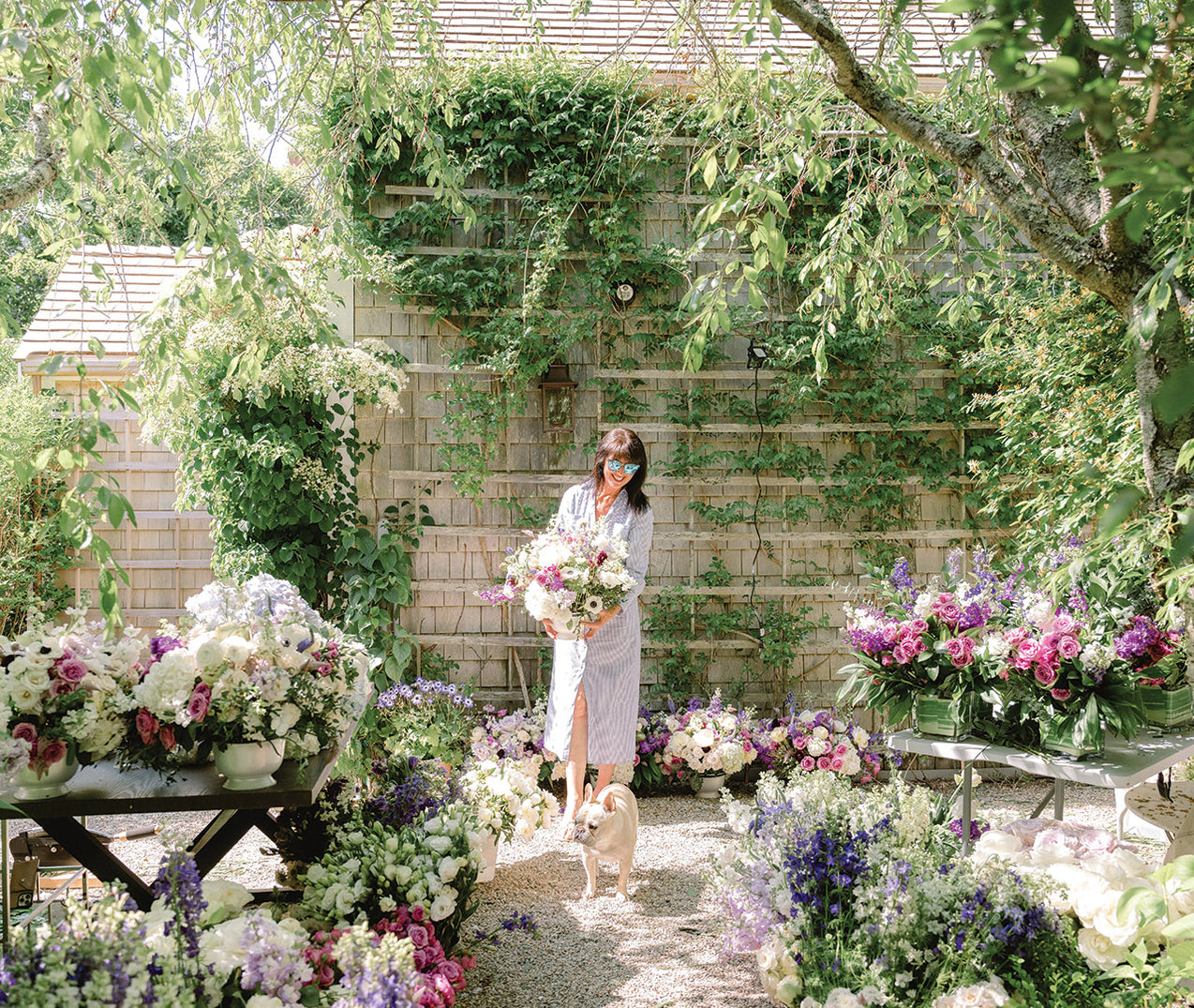 Gallery– Debi Lilly