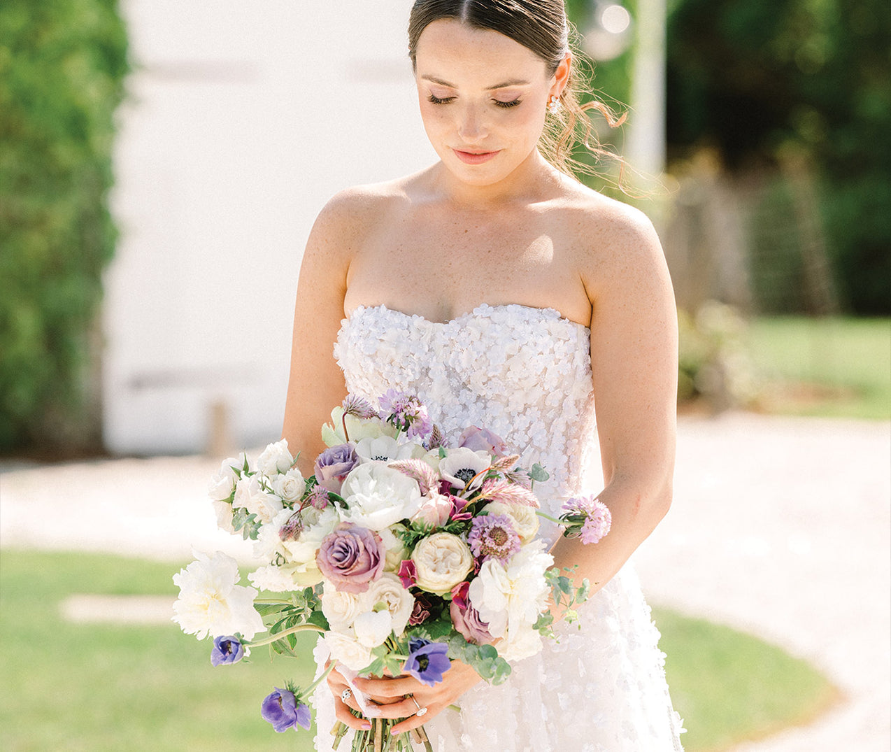 Gallery– Debi Lilly